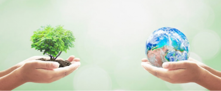 THE GLORIOUS SUN GROUP – THE GLORIOUS SUN GROUP